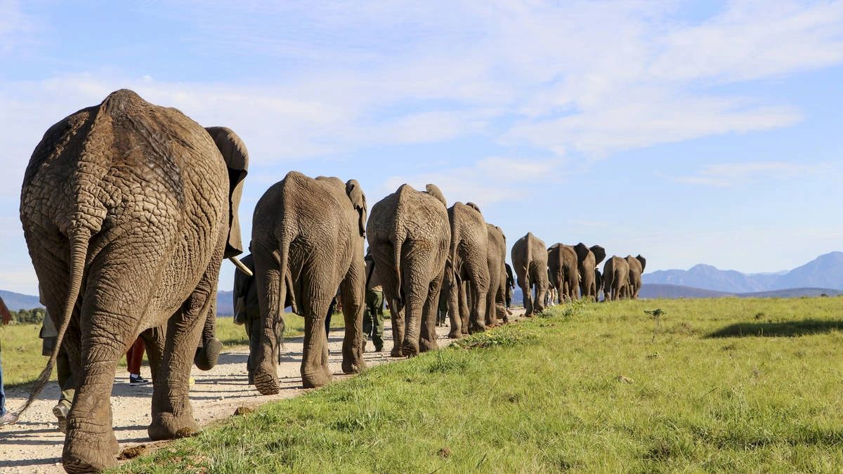 11 Things to do in Harkerville