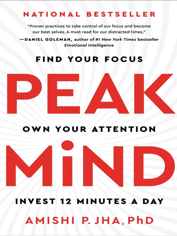 Peak Mind Interactive