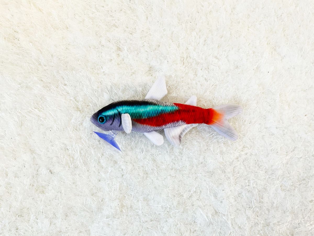 Neon Tetra Night