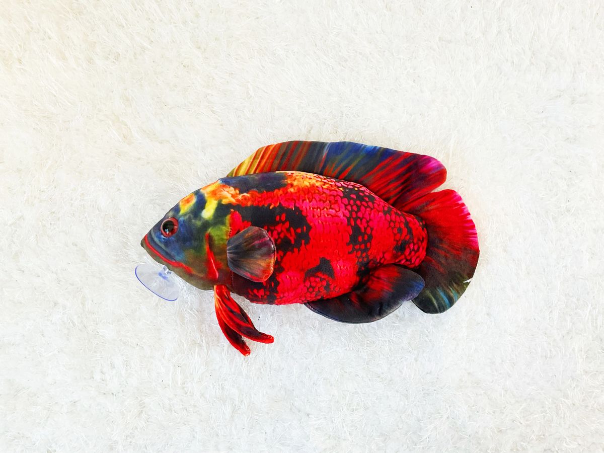 Oscar Fish Volcano 13 inch