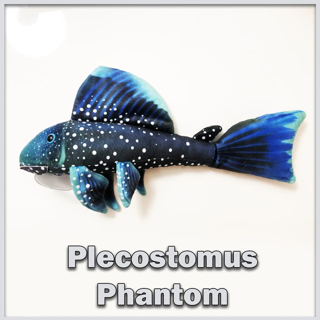 BLUE Phantom Plecostomus