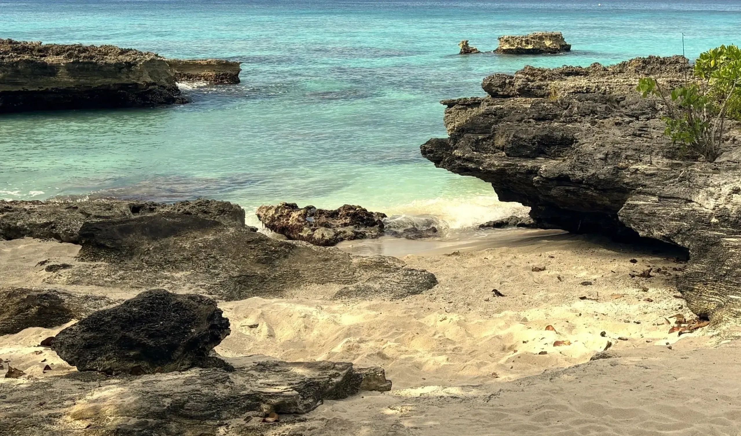 Board Support Services