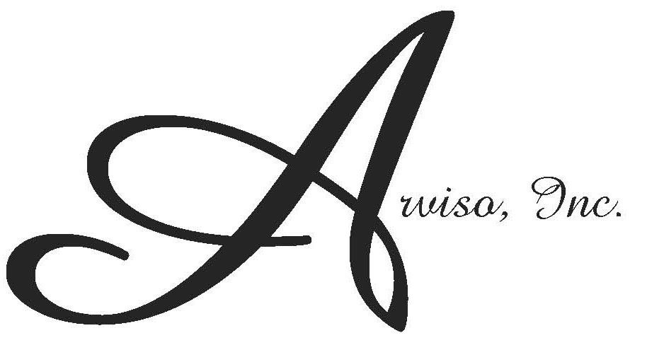 Arviso, Inc: DCAA Compliance & CFO Advisory Services