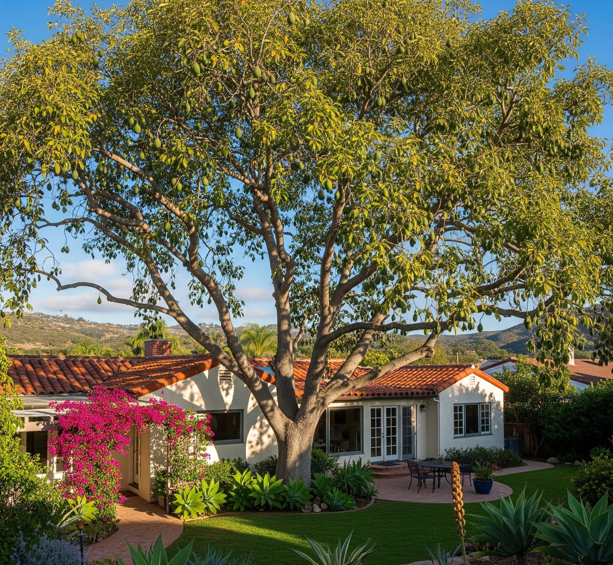 When Trees Go Beast: 8 Fruit Trees That’ll Outgrow a Small Yard