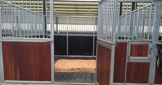 Agistment | Spring Creek Equine