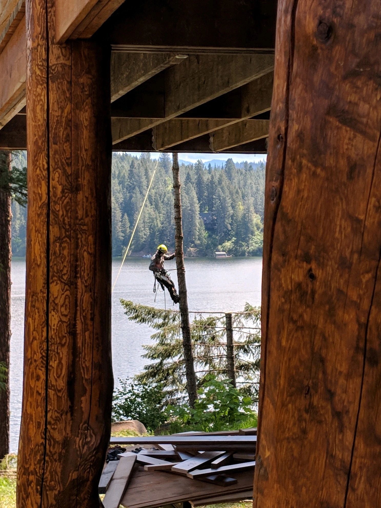 Grace Tree Service - Home