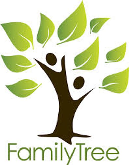 HEALING YOUR FAMILY TREE | Fr Lou