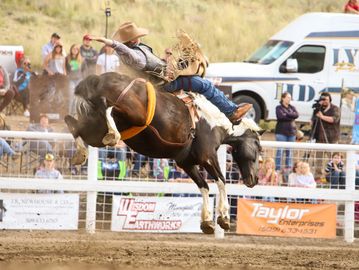 Colorama Pro Rodeo - Rodeo Sponsors, Rodeo, Corporate Sponsors