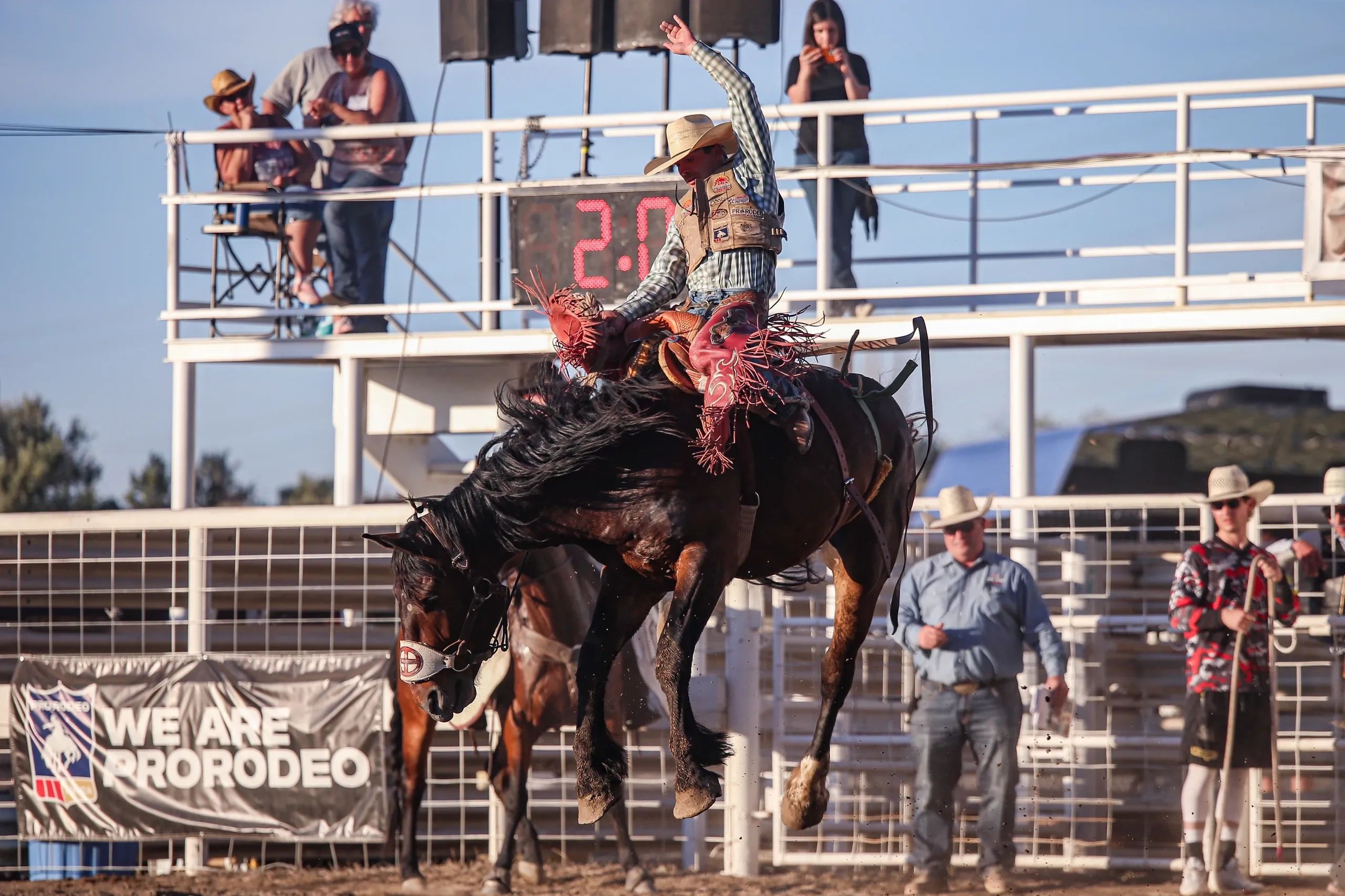 ProRodeo