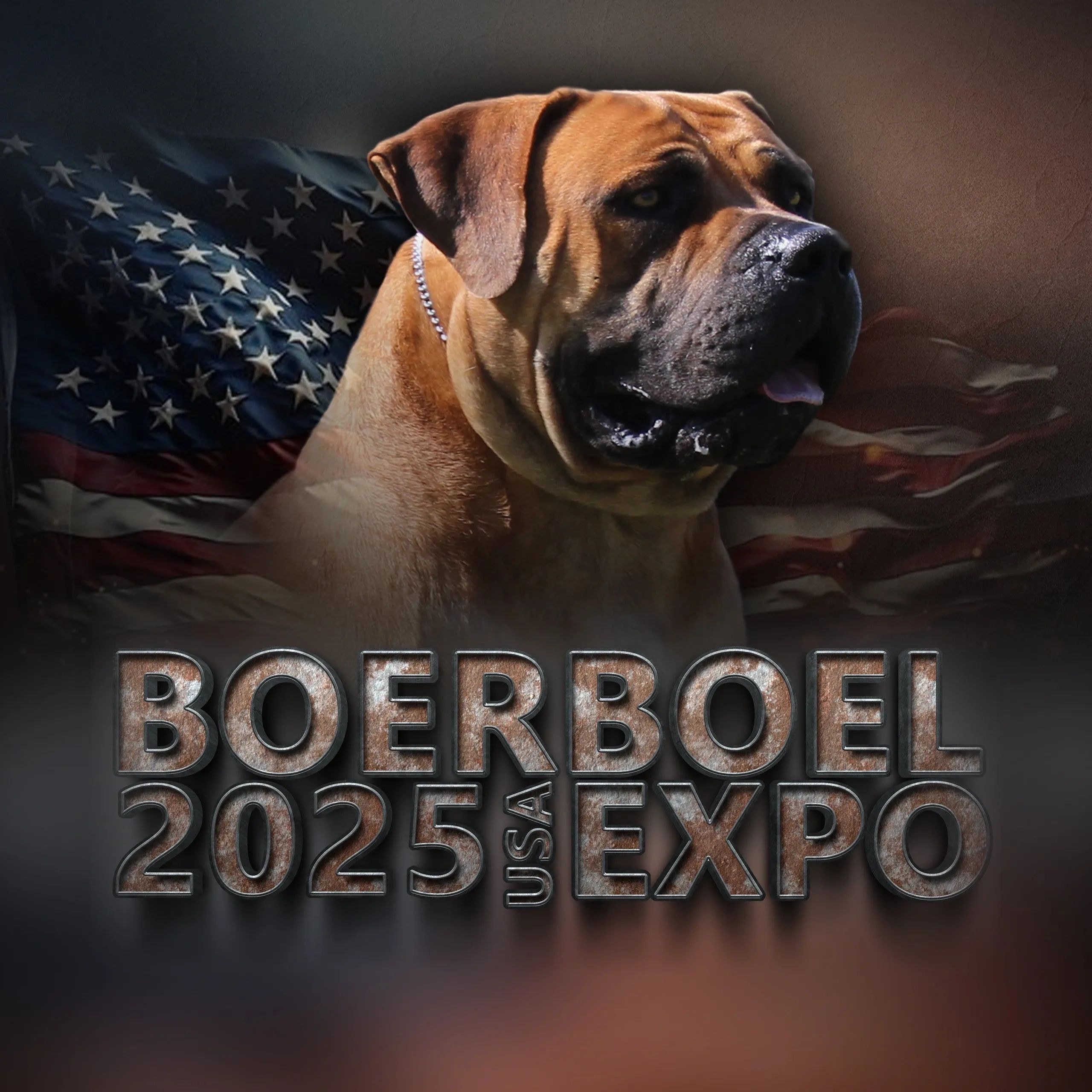 Explore the Mighty South African Boerboel Breed