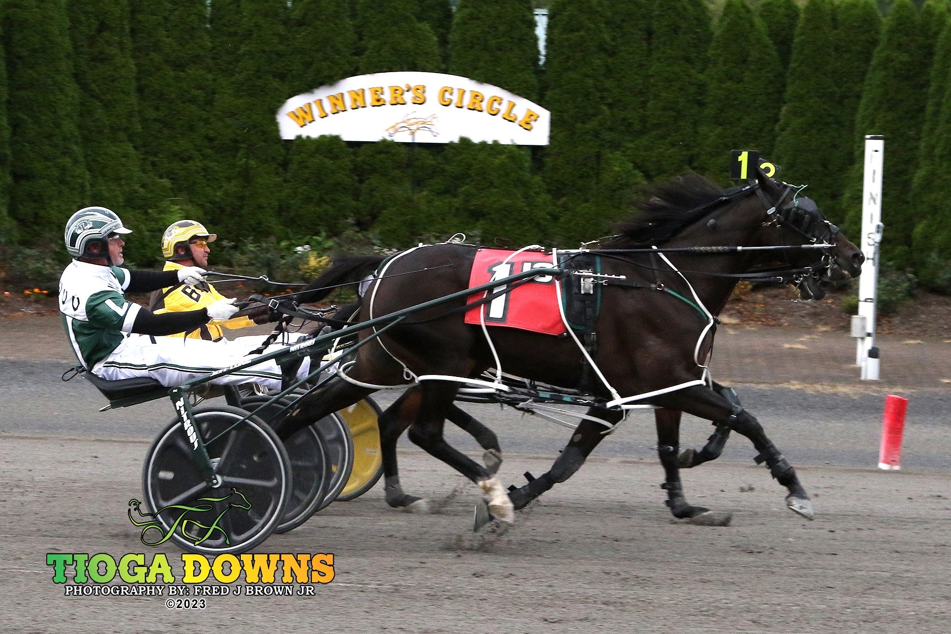 Southern Tier Harness Horesmen's Association