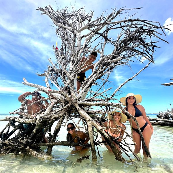 Crysten's AMI Boat Tours