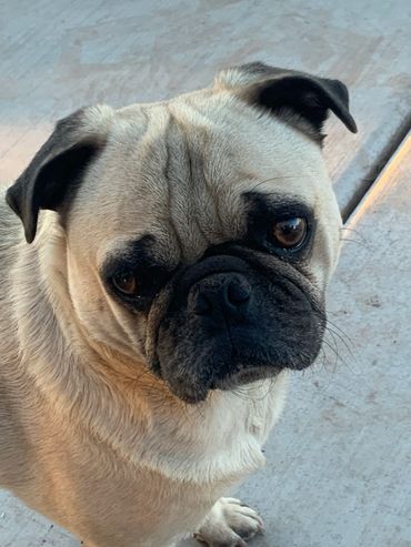 COPPER HOP RANCH FARM & MICROBREWERY