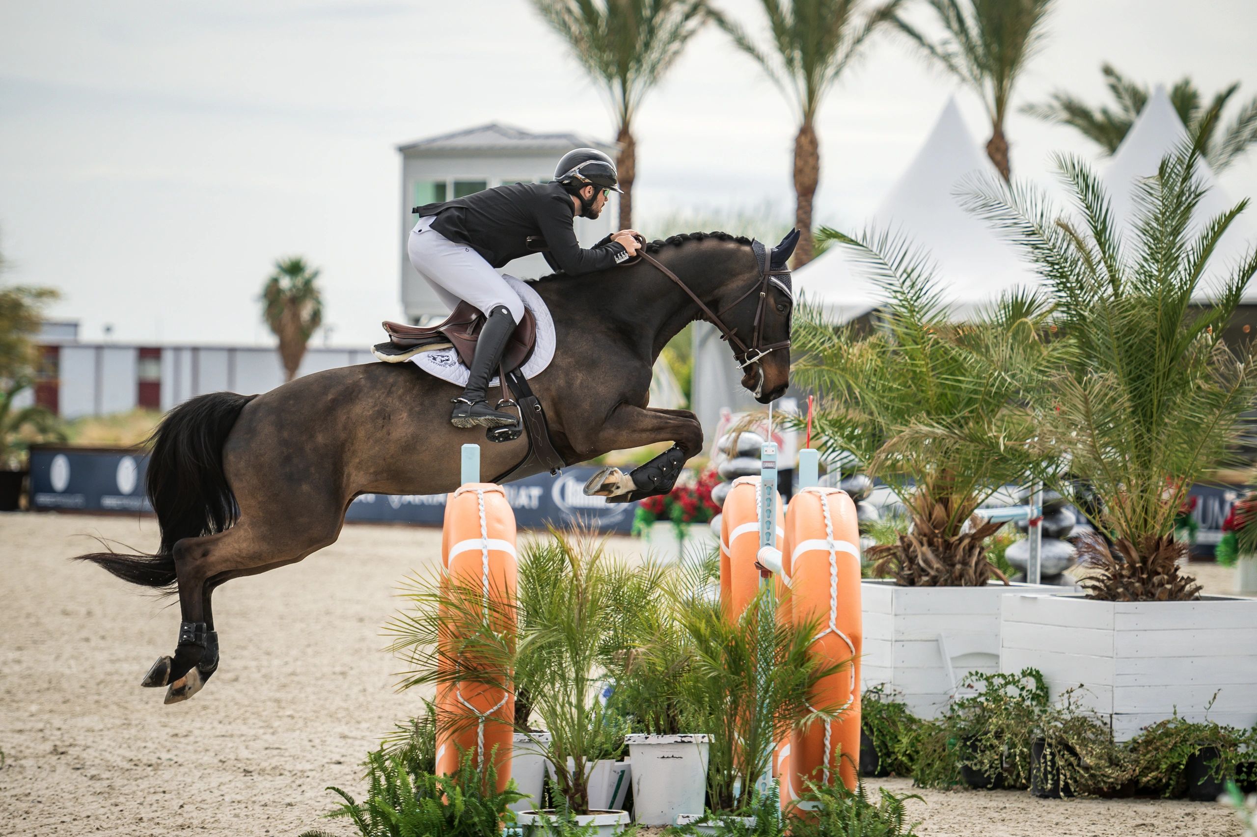 Premier Equestrian Center and Horse Stables