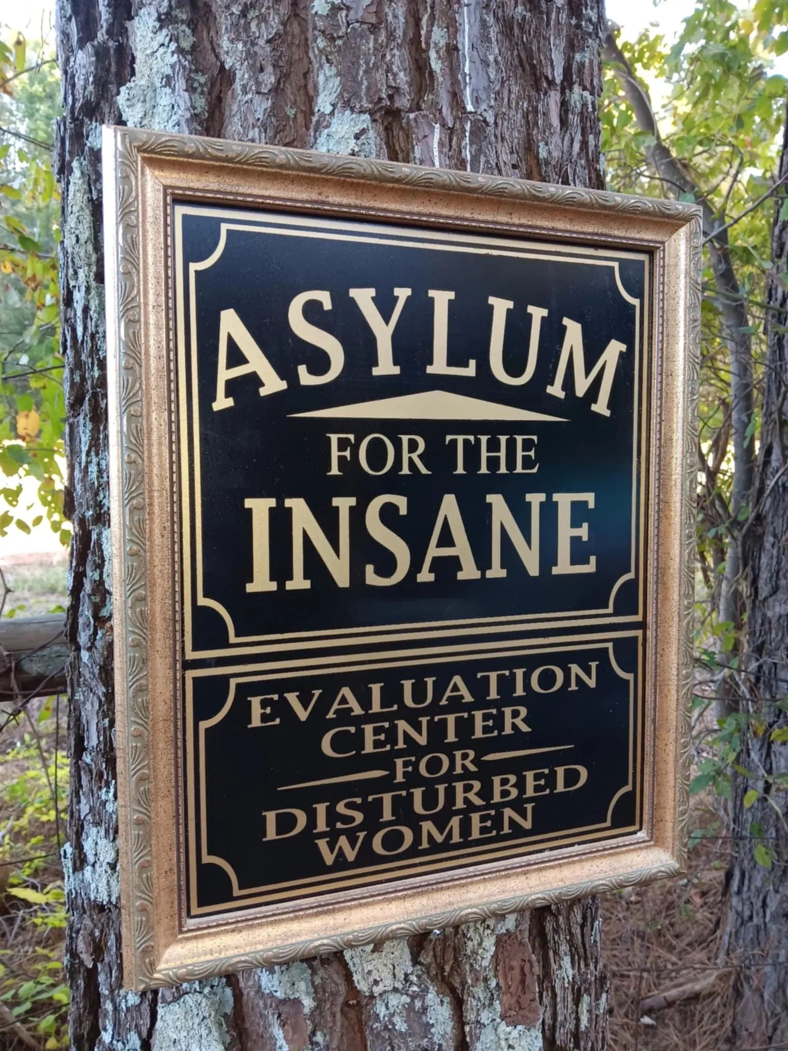 Insane Asylum Signs