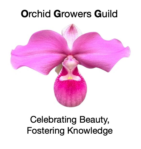 OrchidQuest