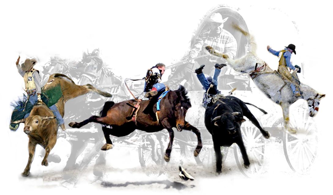 New Years Stampede | C. R. McKellips Rodeo Co., Inc.