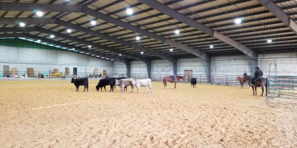 Longhorn Arena and Event Center - Horse Arena, Event Center