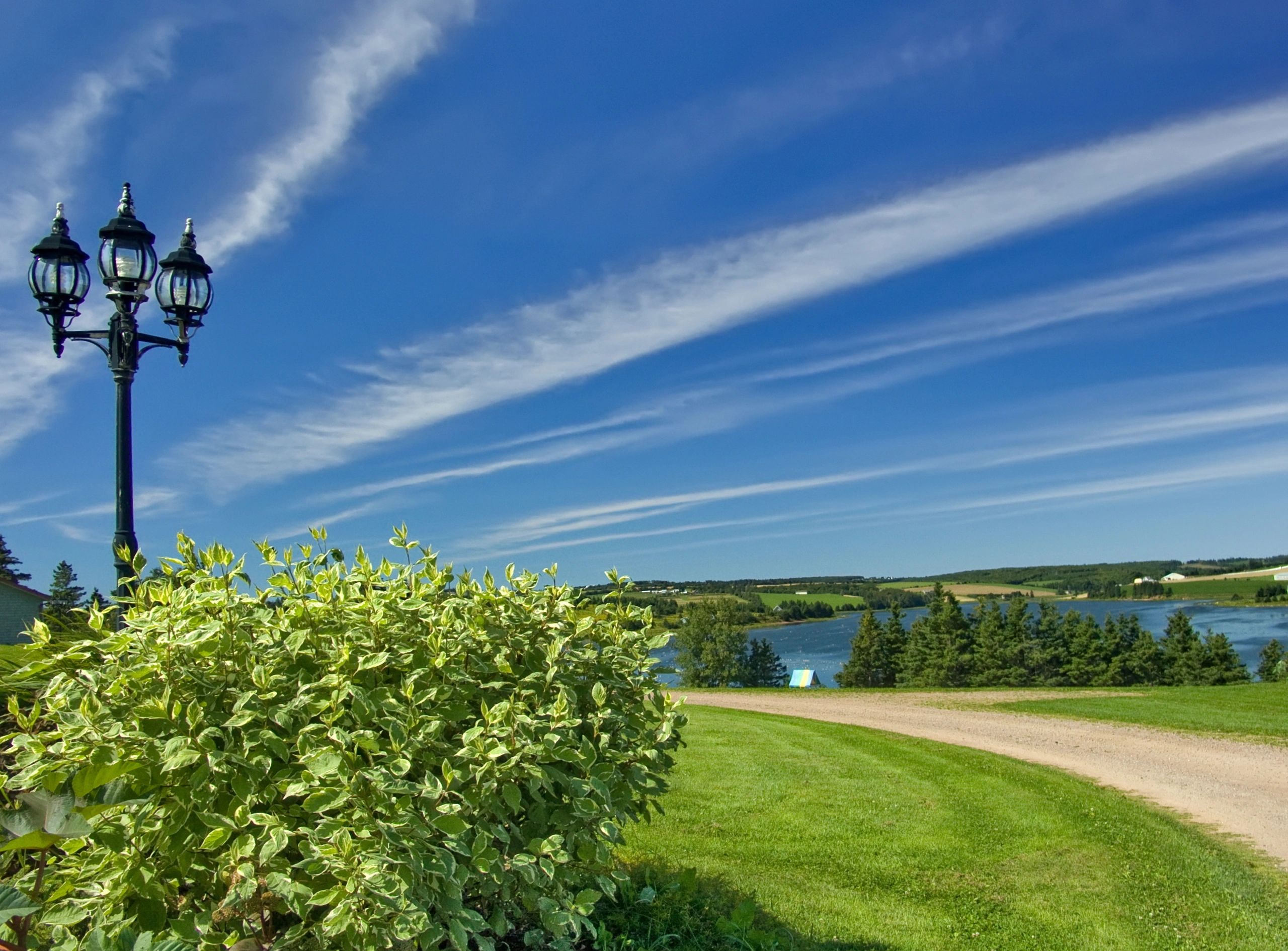 Telecommunications Consultant Services | ACE Telecom Consulting