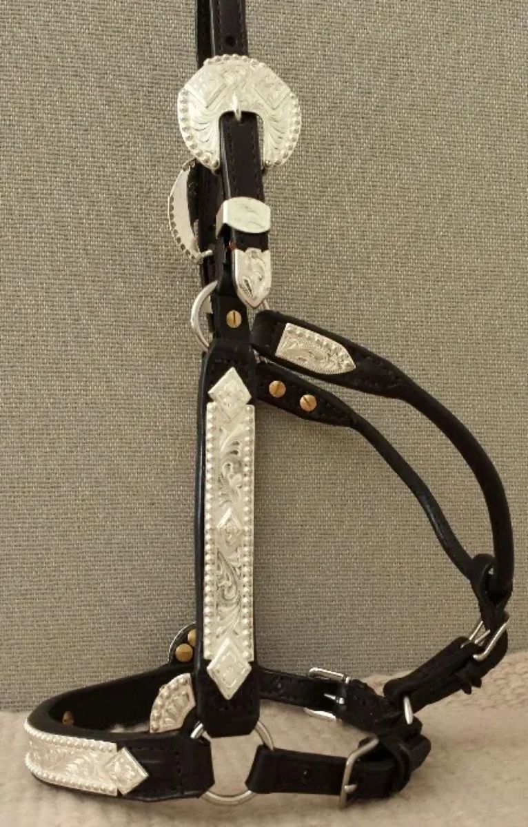 1234-555 Dale Chavez Quarter Horse Halter