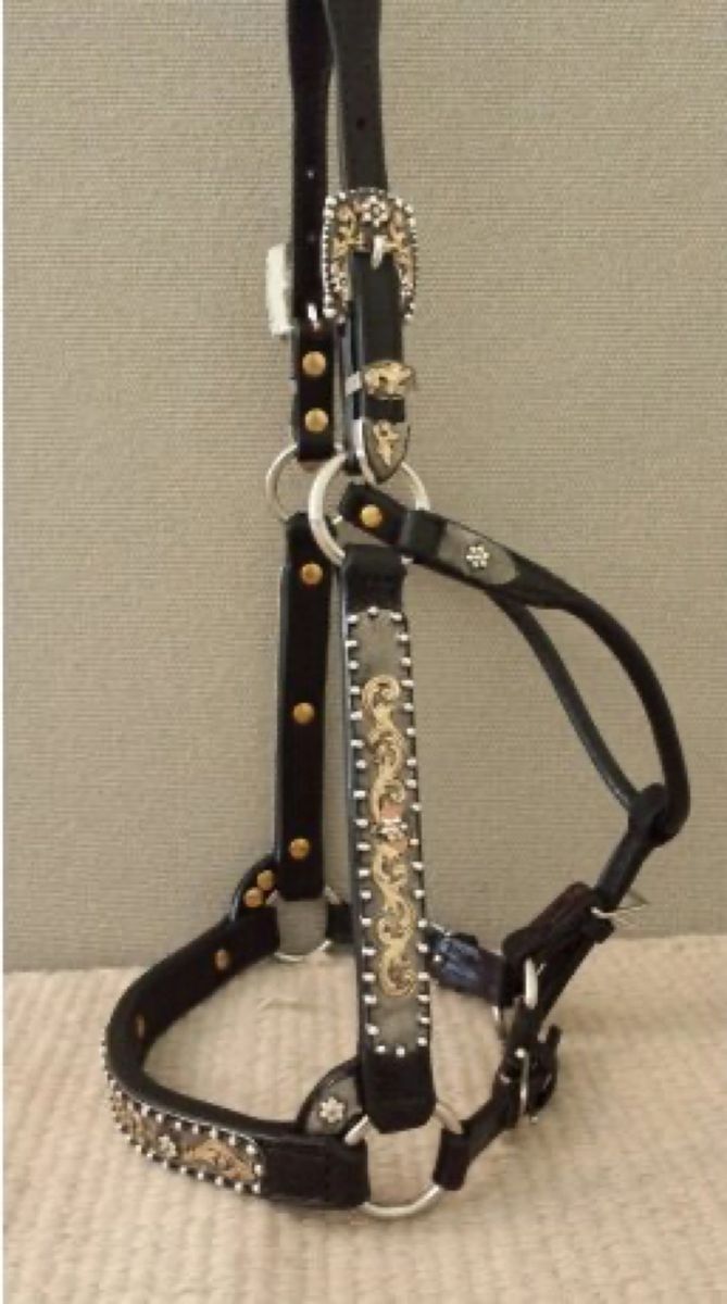 1234-900 Dale Chavez Quarter Horse Halter