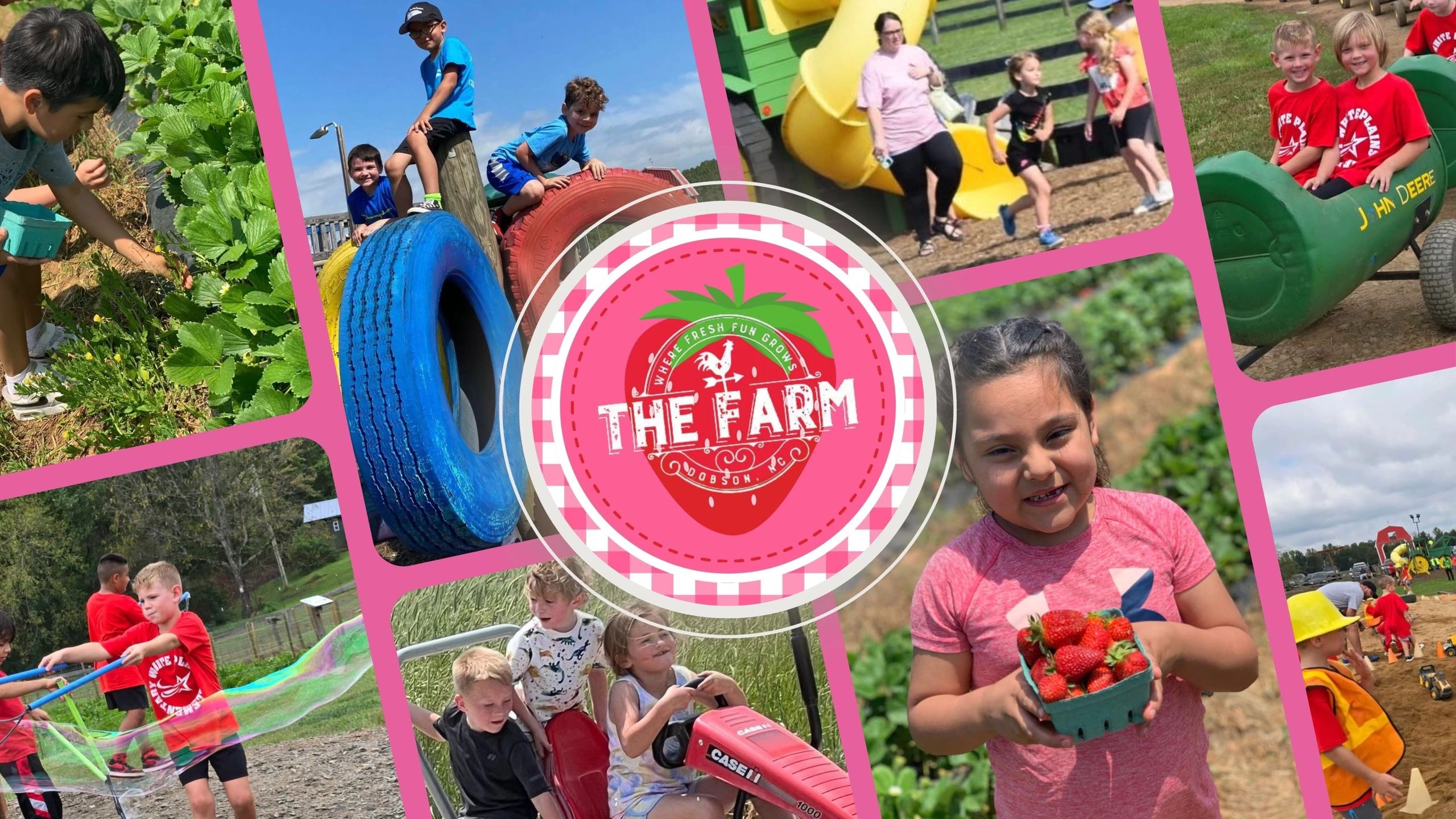 The Farm - Agriculture, Farm Education, Family Friendly Fun