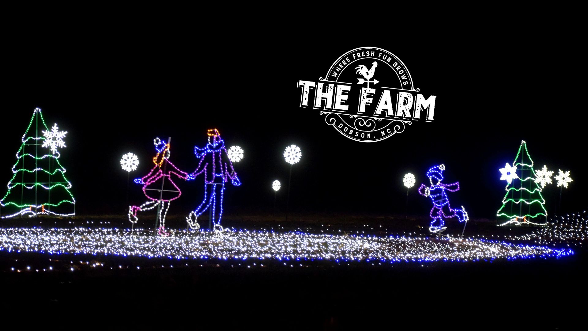 Explore The Farm Dobson: Family Fun & Farm Education!