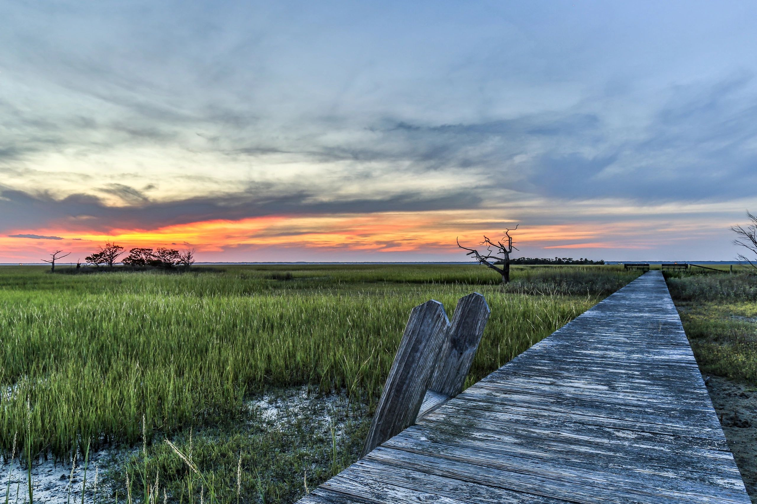 Frequently Asked Questions - Explore Dewees Island