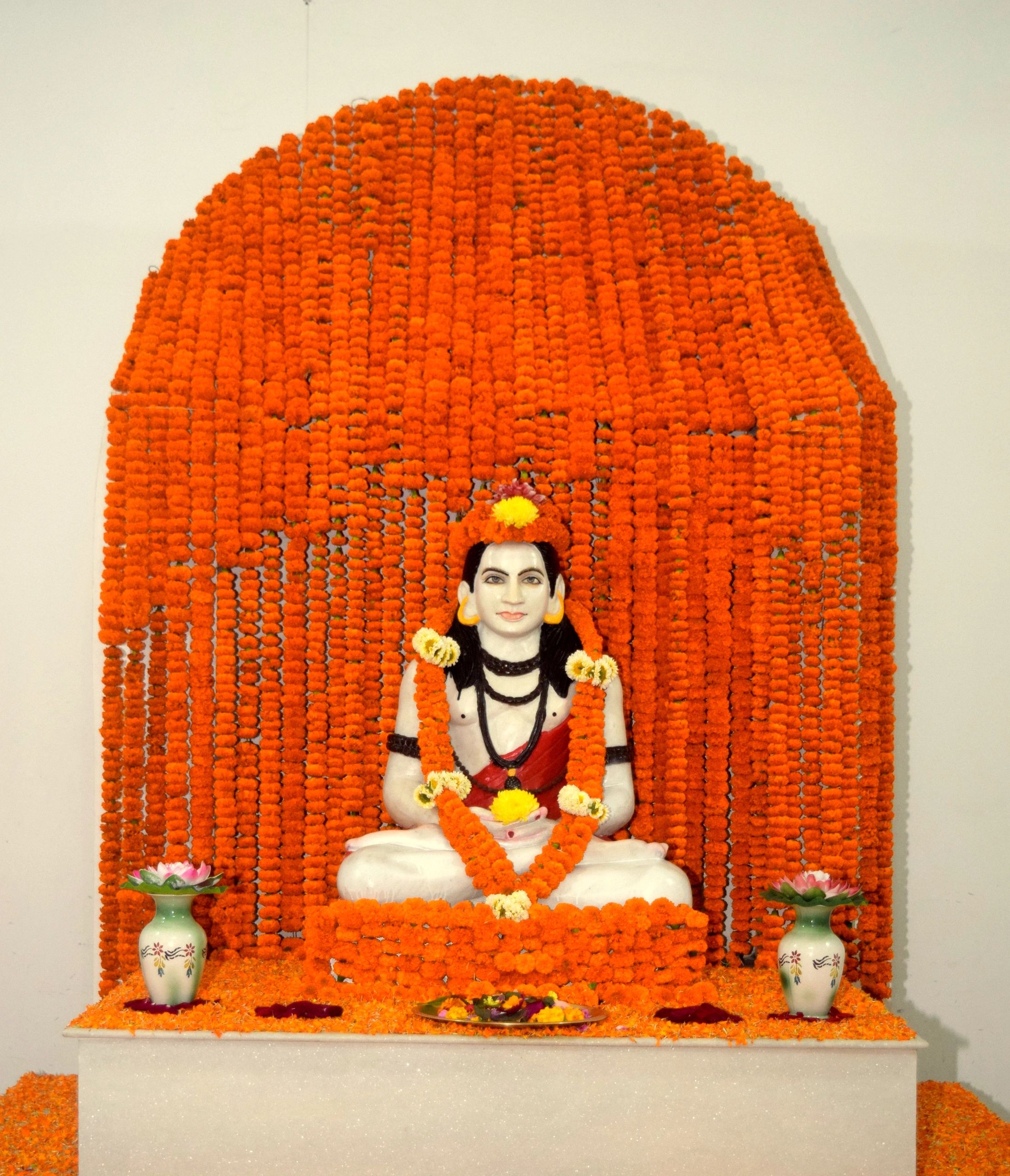 Online 200 Hr TTC | GORAKHNATH YOGA AROGYA NIKETAN(GYAN)