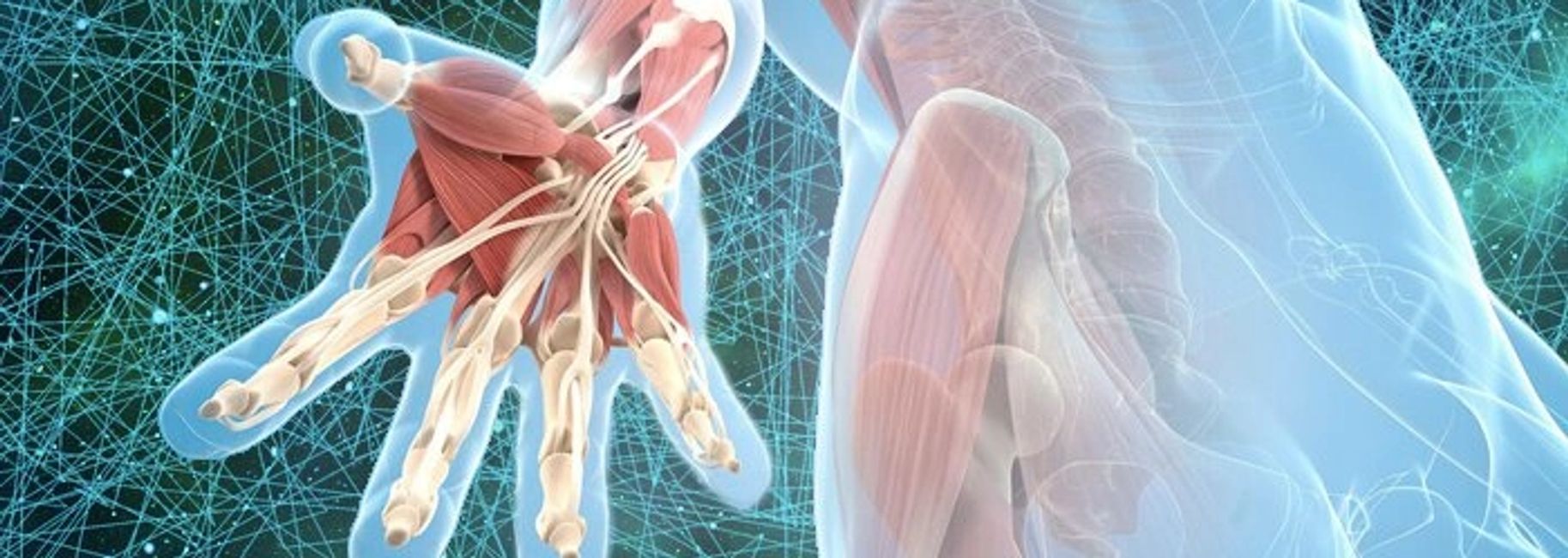 Fascia Lines Move Better Live Better