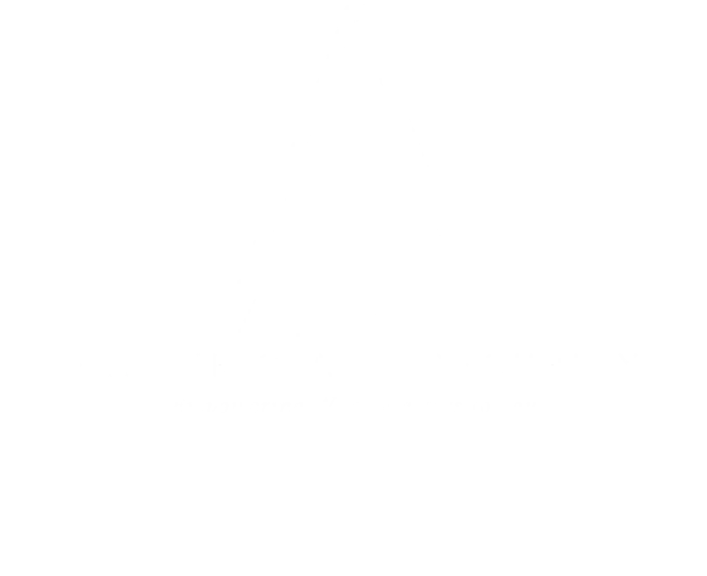 Arden Electric and Security Inc. - Security Solutions, Security System ...