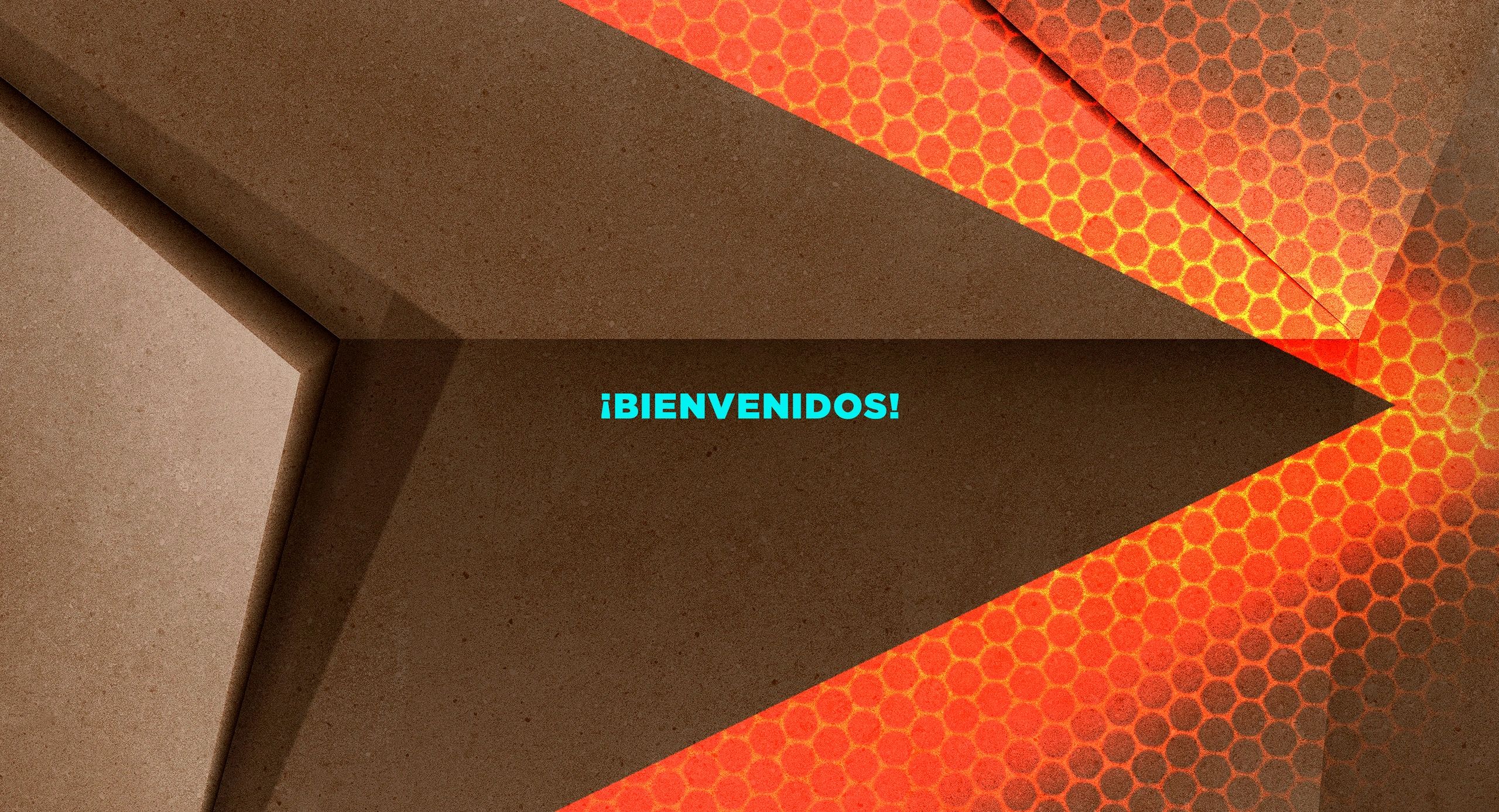 Productos y servicios | COPLASCO