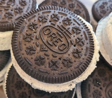 Freeze dried Oreo ice cream
