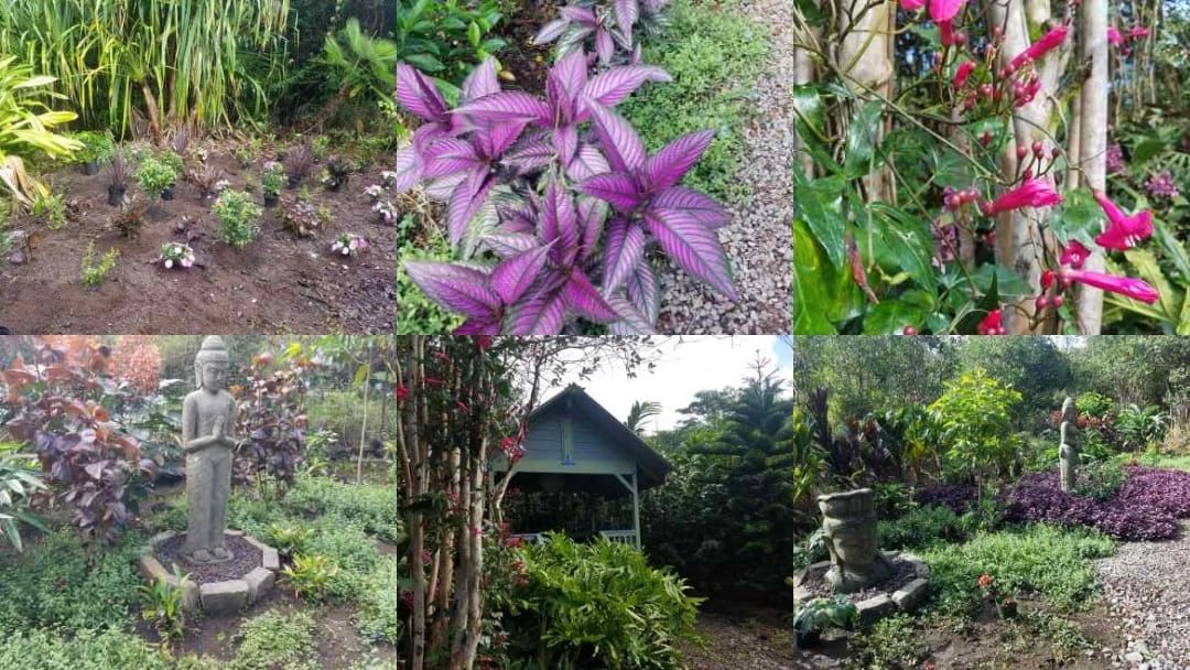 Mālama Services 808 - Services, Special, Pressure Washing, Services