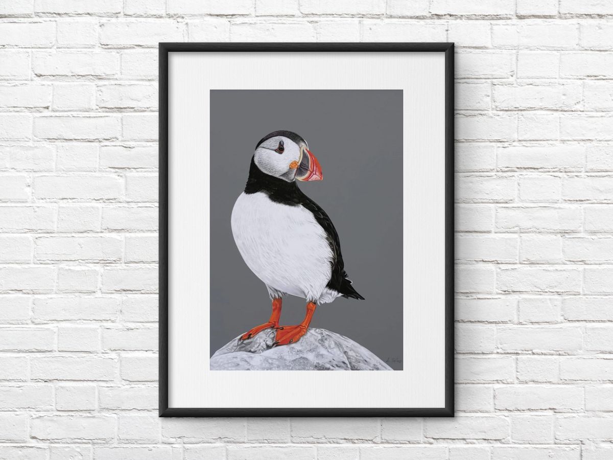 'Puffin Patrol' Fine Art Print