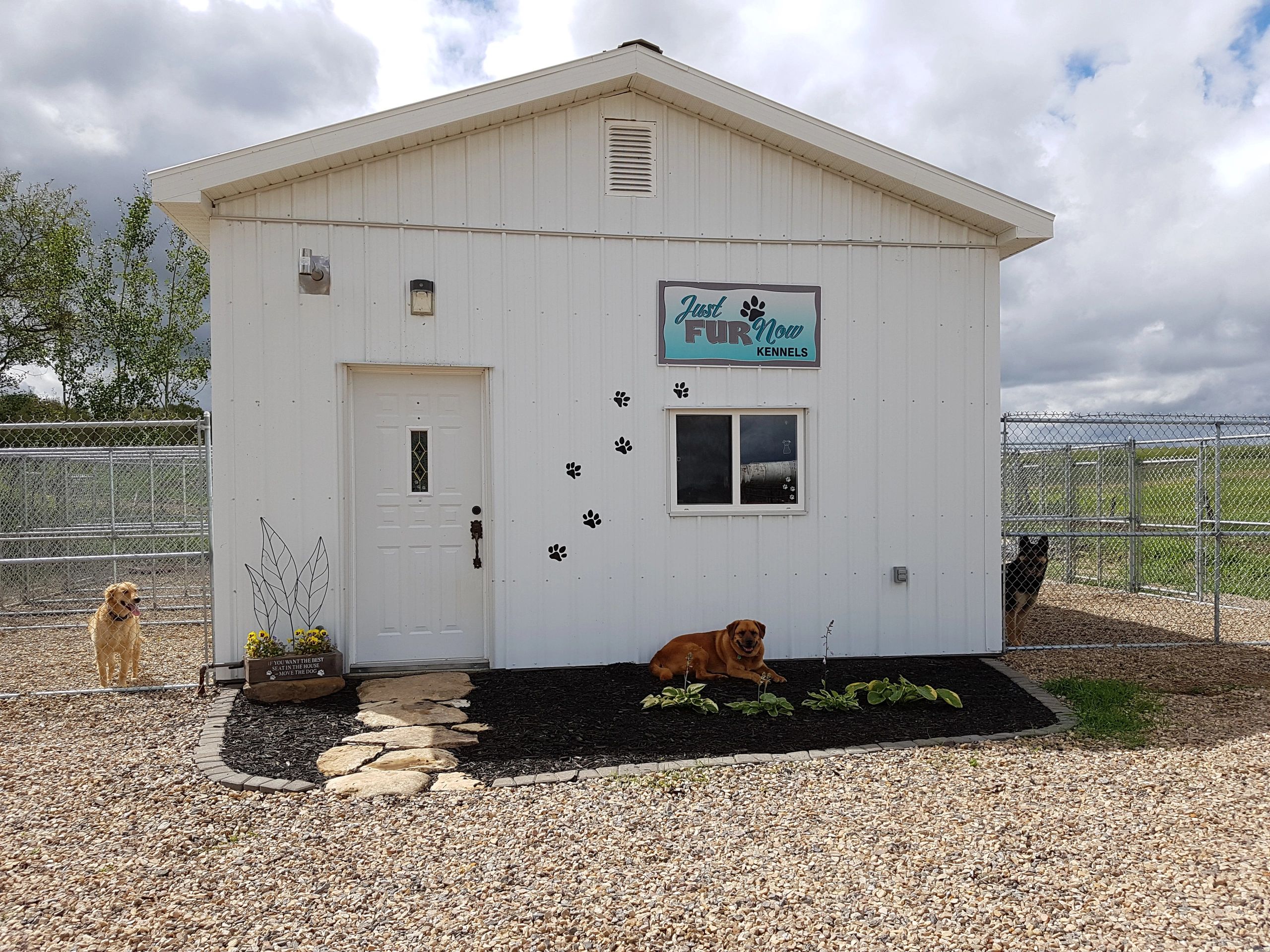 Dog Kennels - Just Fur Now Kennels