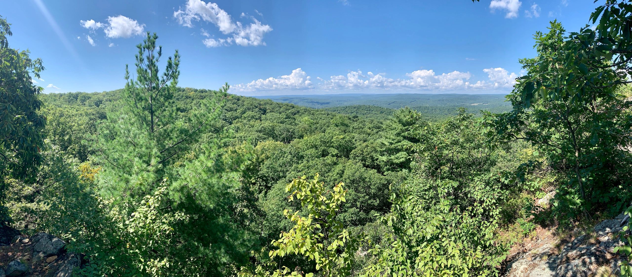 Reeves Brook Loop Trail
