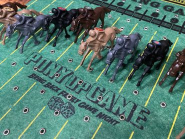 Gallery | Pony Up Game, LLC