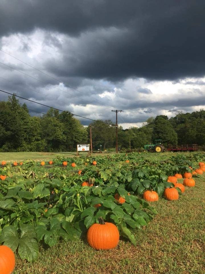 Almond Farm, LLC in Concord - Almond Farm, LLC