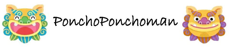 Shop for Character Ponchos Online