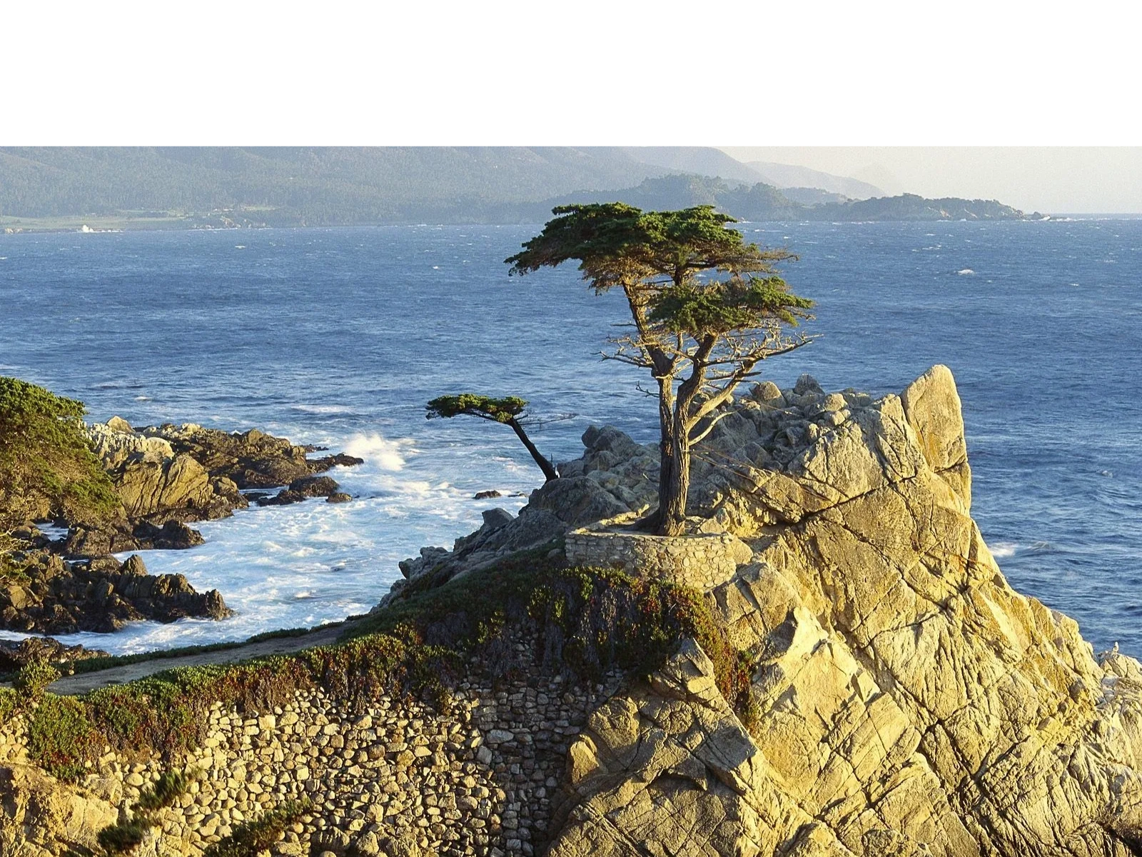 Technology Integration