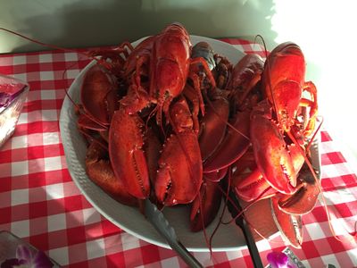 Personal Chef Service - Personal Chef, Catering, Caterer, Cape Cod ...