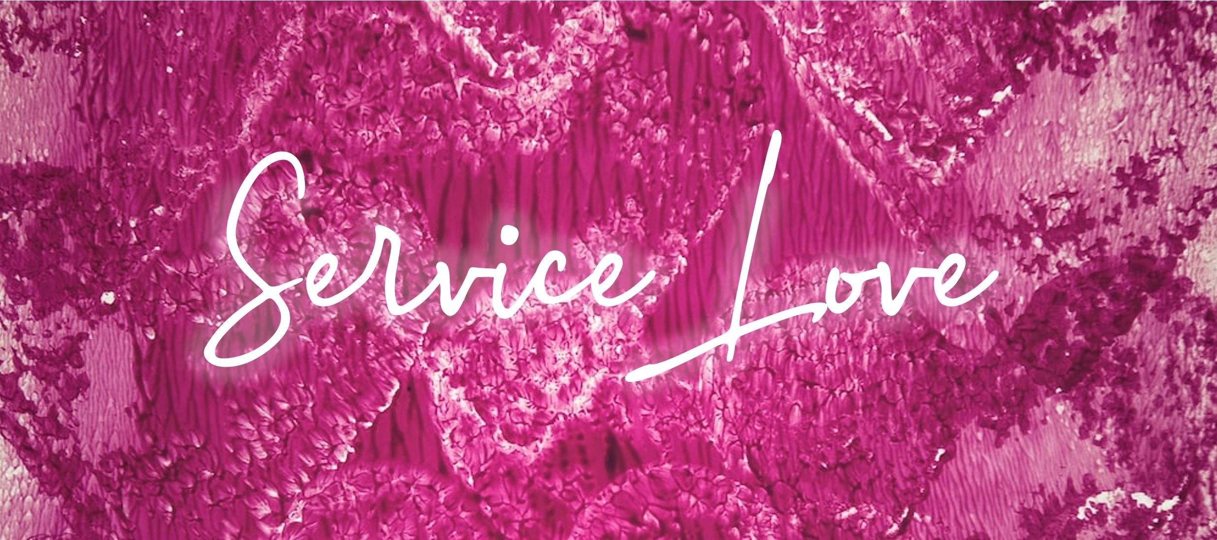 Stiel & Steadman Service Solutions