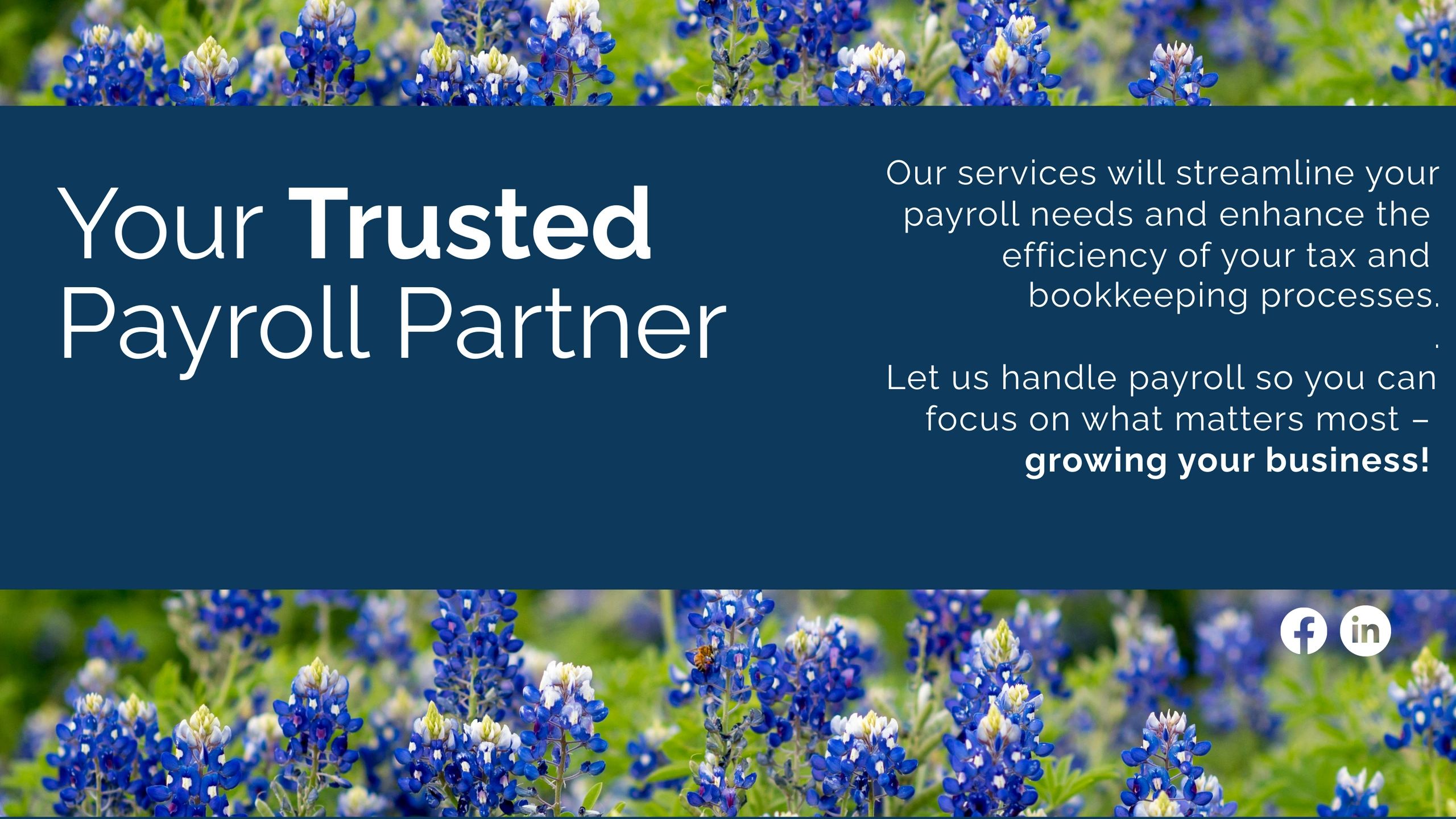 ProPay Professional Payroll Systems