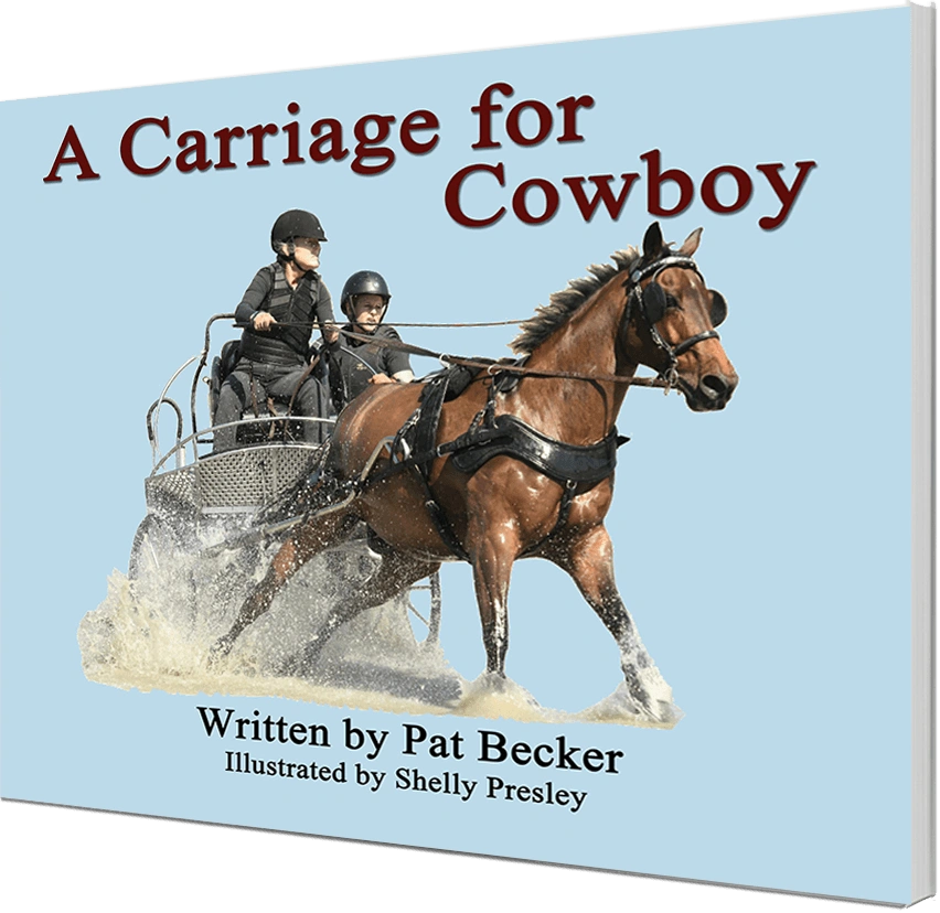 A Carriage for Cowboy