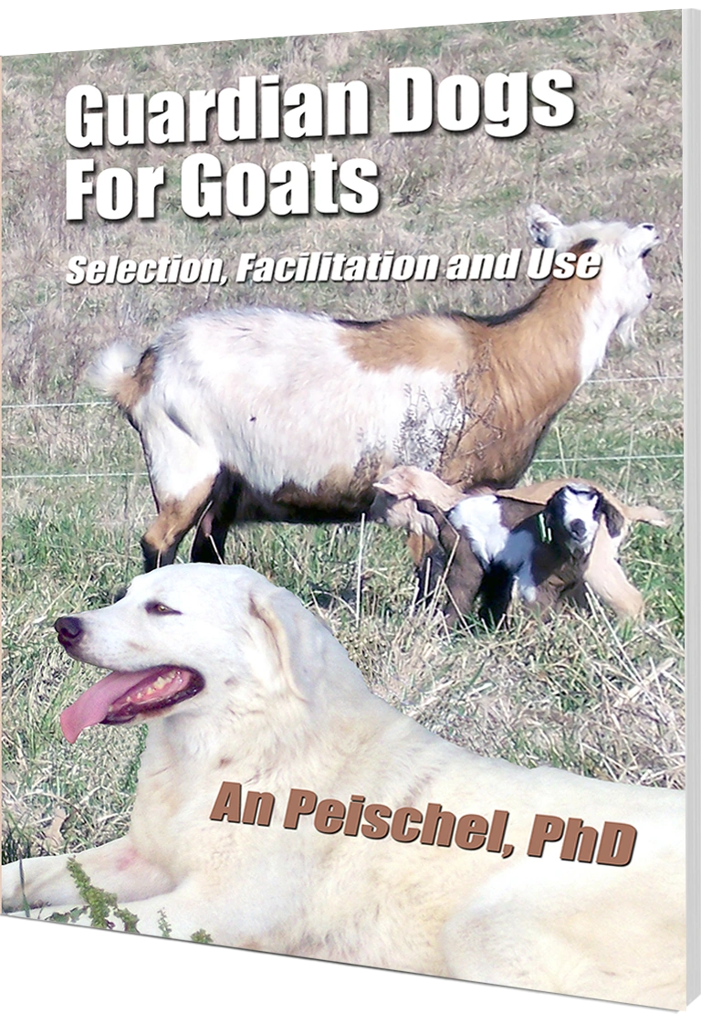 Guardian Dogs for Goats