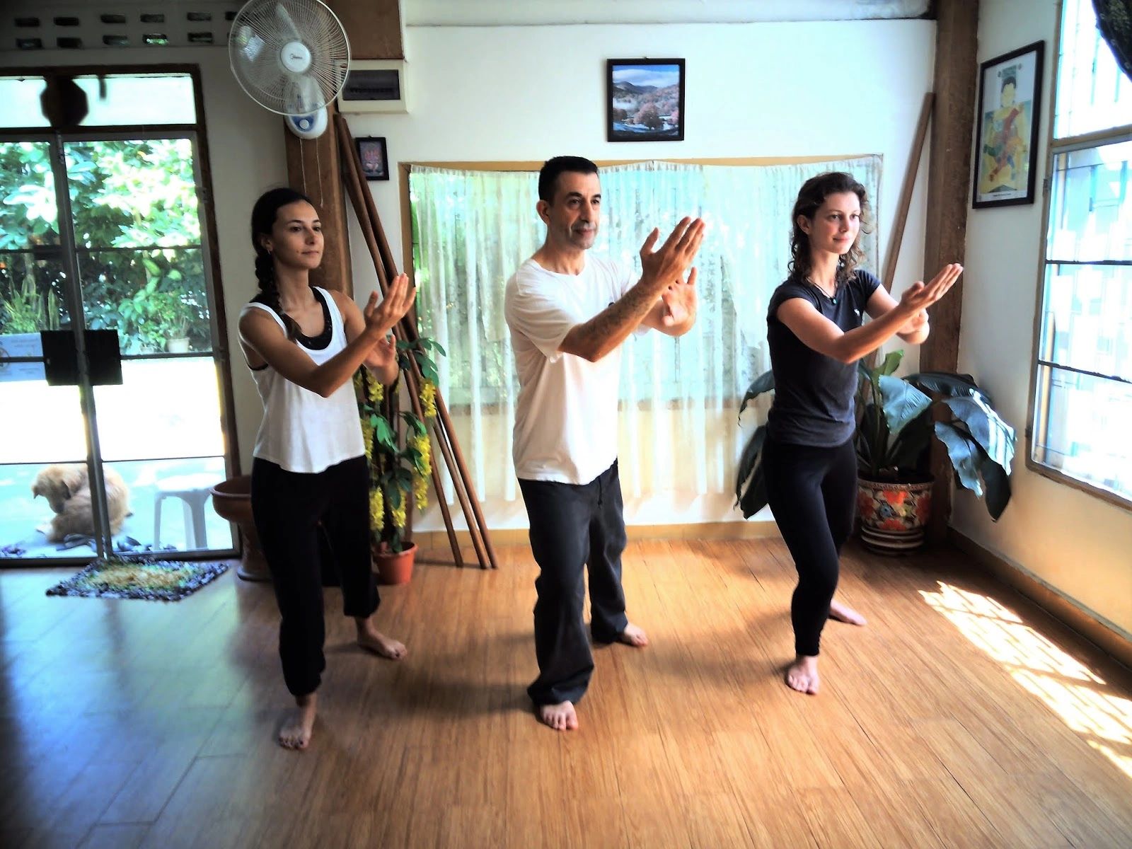 Body & Mind Healing - Qigong & Tai Chi, Reiki, Yoga Chiang Mai Thailand