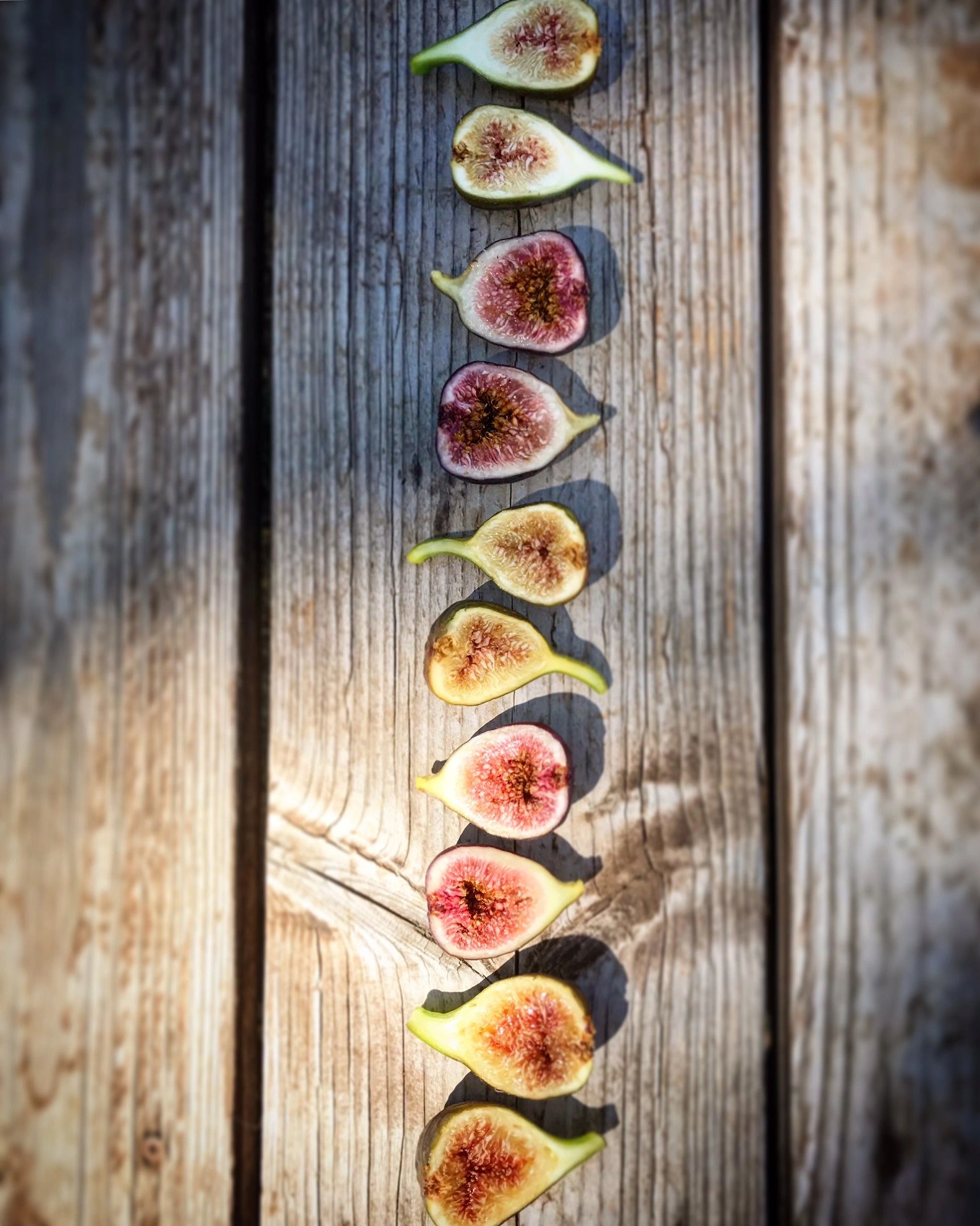 Harvest boxes | Goat Mountain Farms