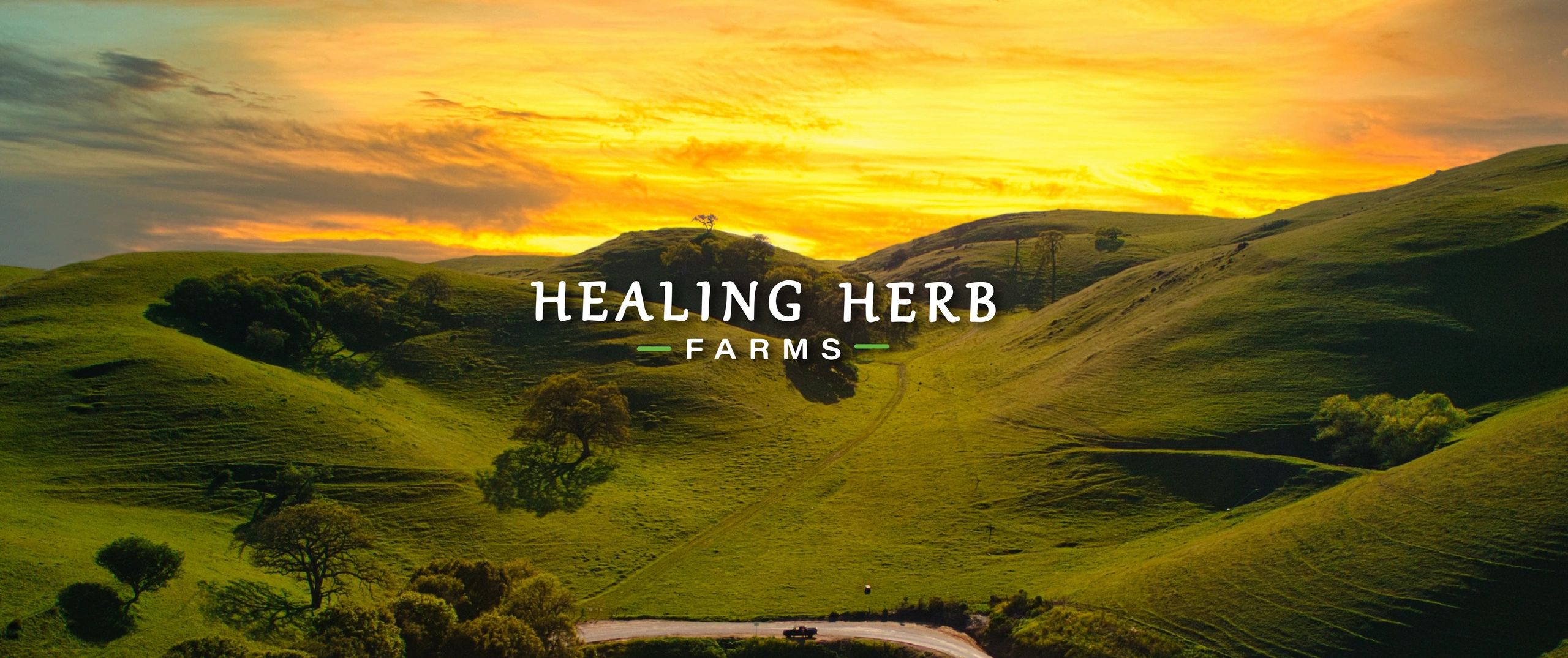 Crushmintz - Healing Herb Farms