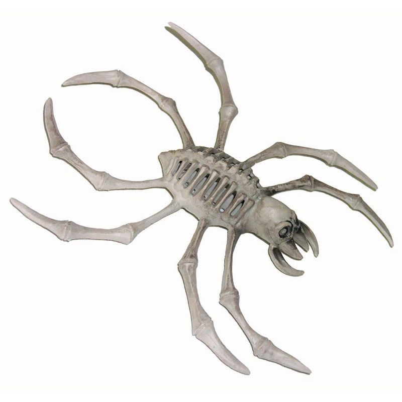 Skeleton Spider